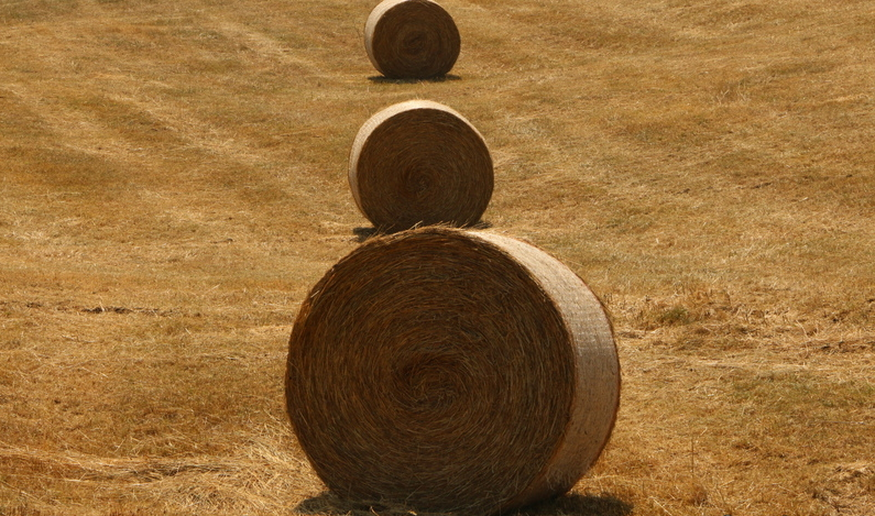 Tappa 21 - Variante Monte Valoria